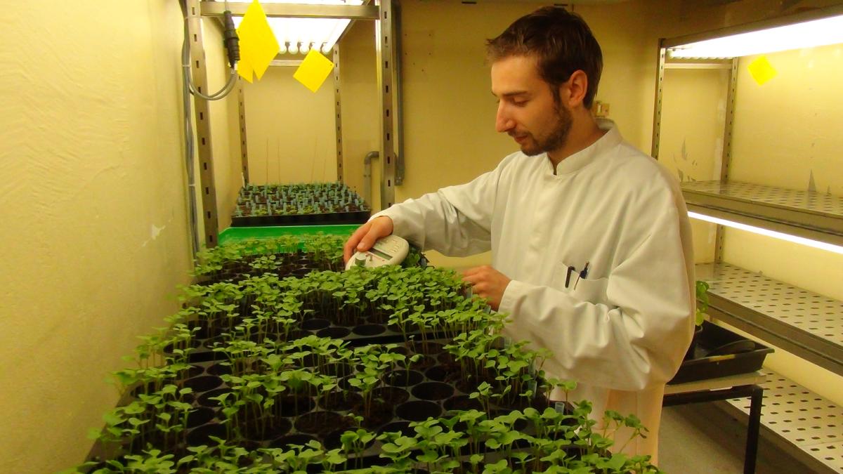 Les Études de Bioingénieur - École interfacultaire de bioingénieurs